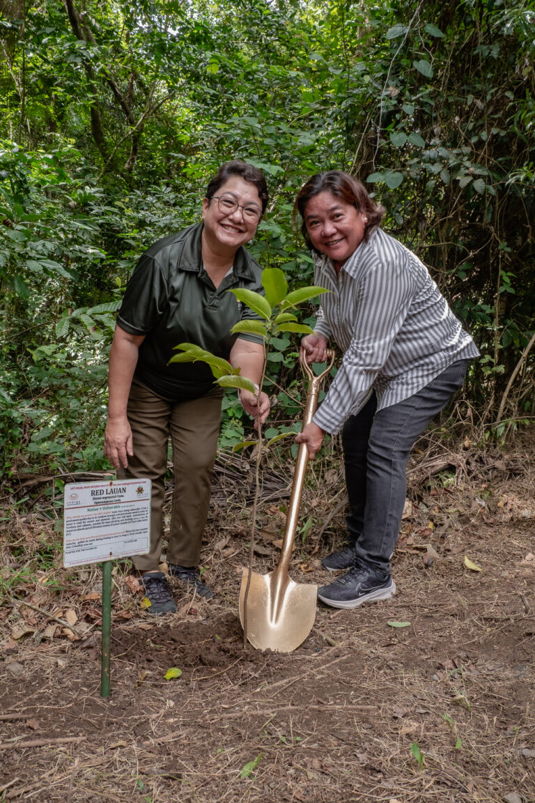 Threatened tree species take root in new SU-EDC arboretum - Energy ...